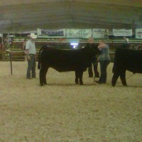 Groundbreaking For DEX Held At South Dakota State Fair | Radio 570 WNAX