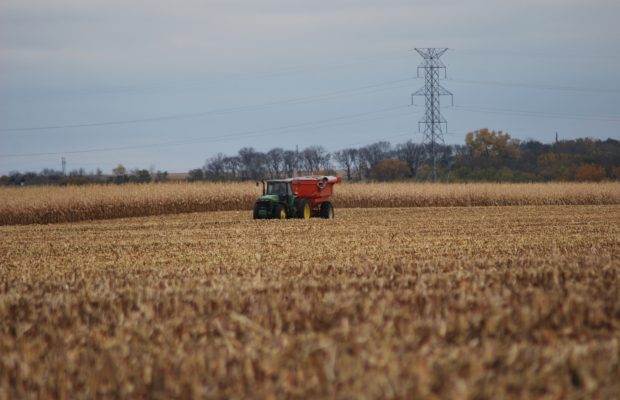 Corn Official Says Buffer Compliance Options Are Available | Radio 570 WNAX