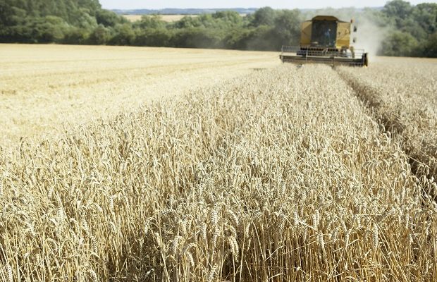 Nebraska Winter Wheat Harvest Progress And Yields Vary | Radio 570 WNAX