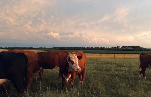Cattle Con 2026 | Radio 570 WNAX